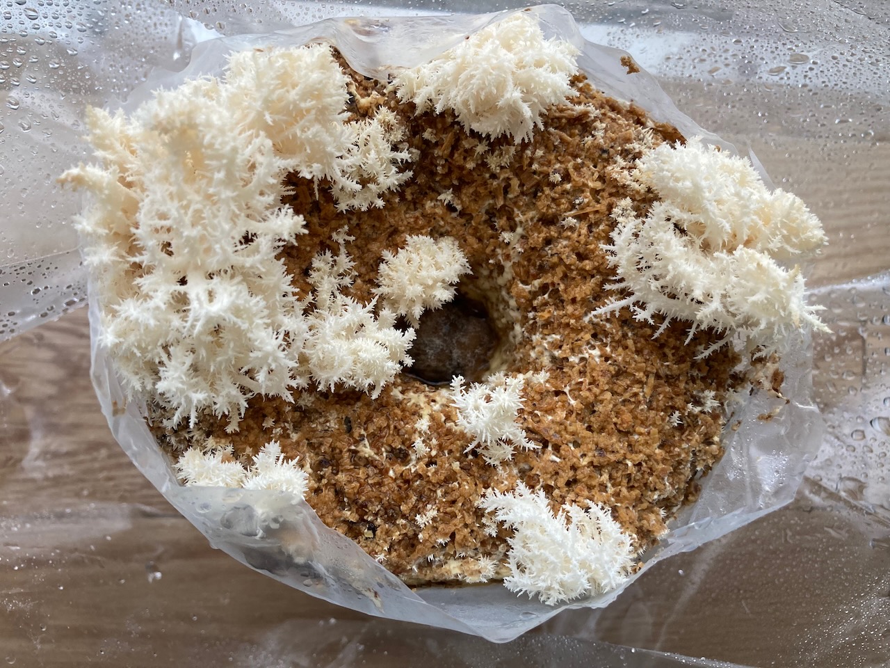 画像32 | [楽活]rakukatsu - 日々楽シイ生活ヲ