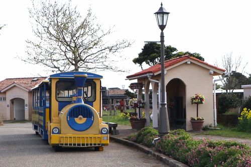 25 | [楽活]rakukatsu - 日々楽シイ生活ヲ