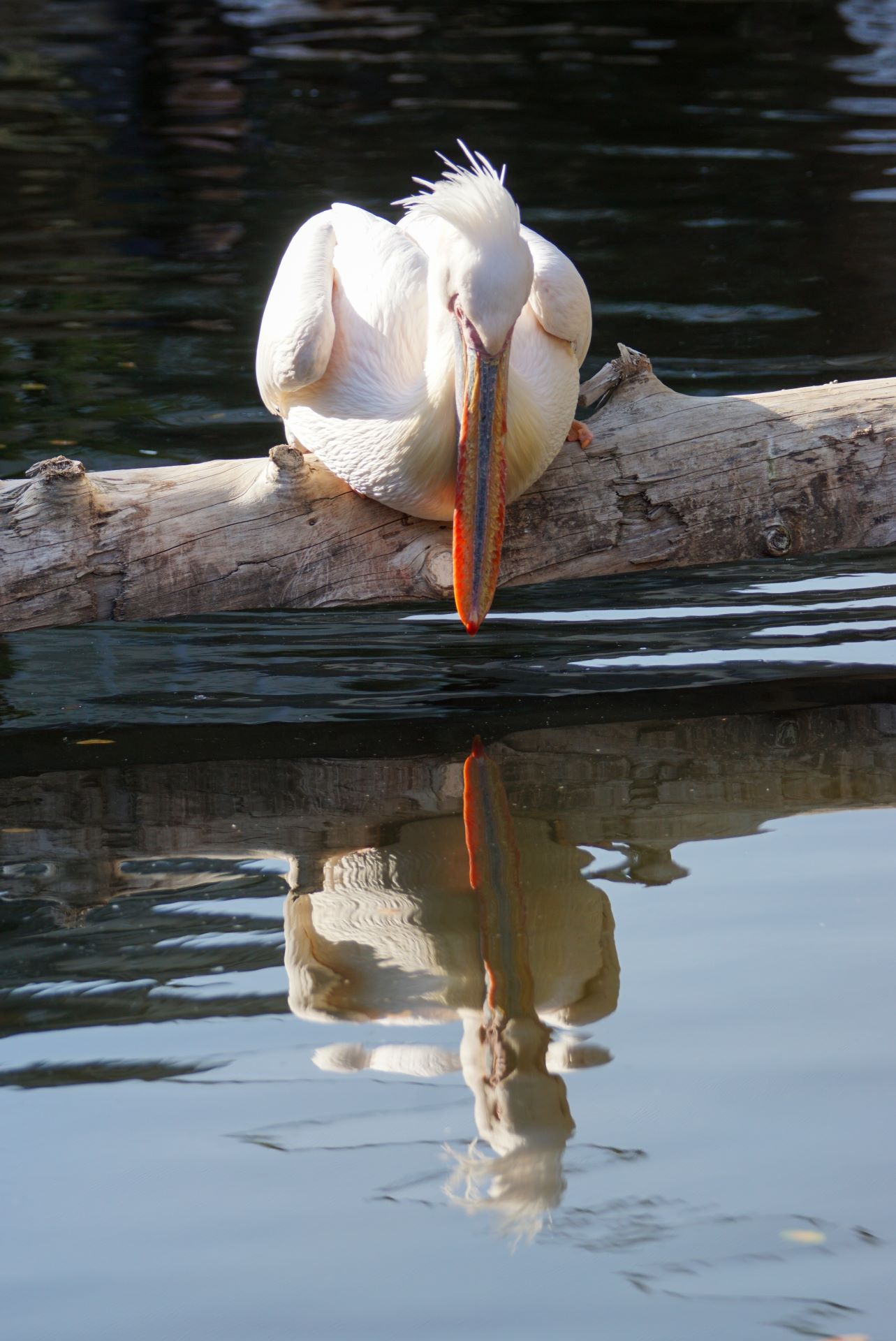 3-3 | [楽活]rakukatsu - 日々楽シイ生活ヲ