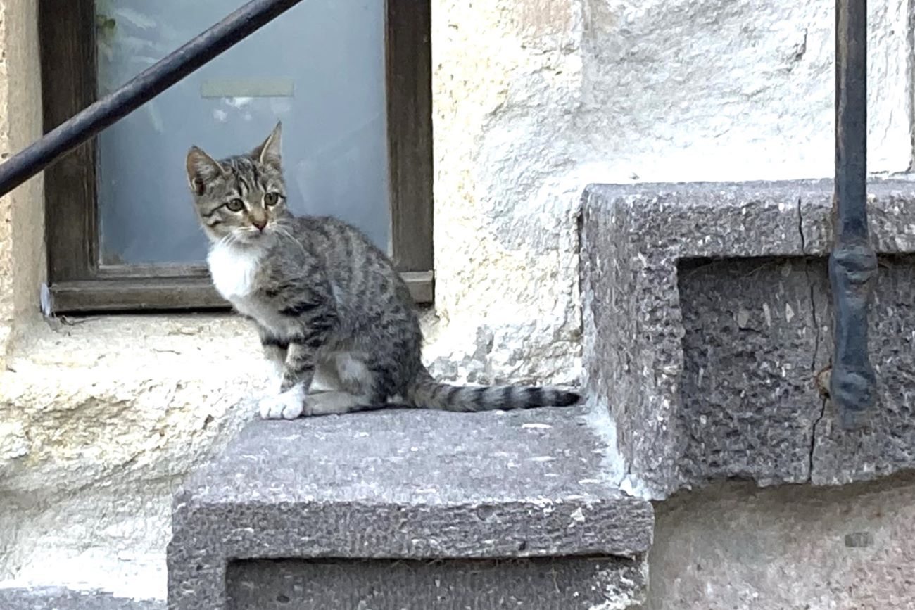 トルコ・カッパドキア 大自然が造った神秘の光景 | [楽活]rakukatsu - 日々楽シイ生活ヲ