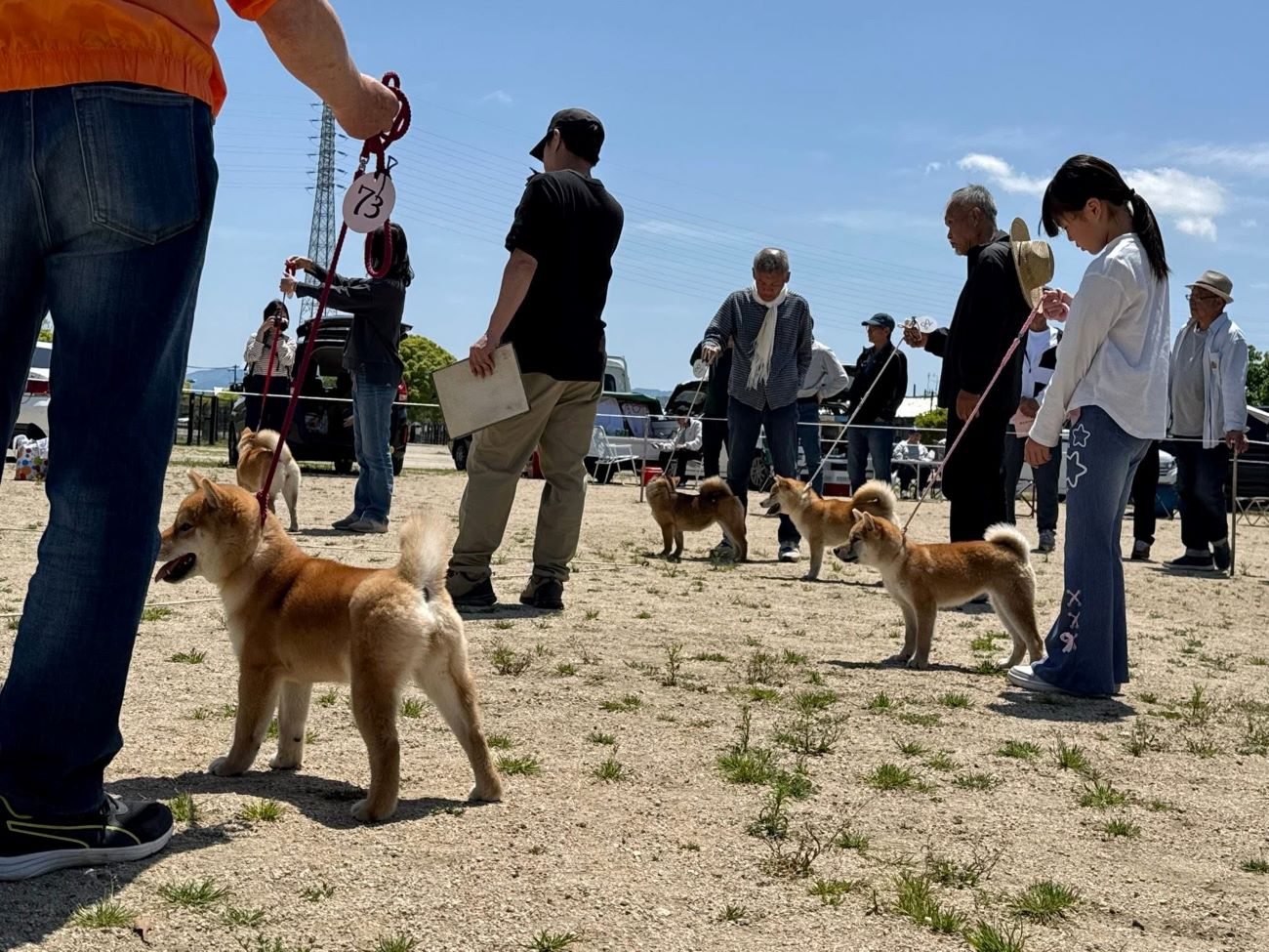 10 (12) | [楽活]rakukatsu - 日々楽シイ生活ヲ