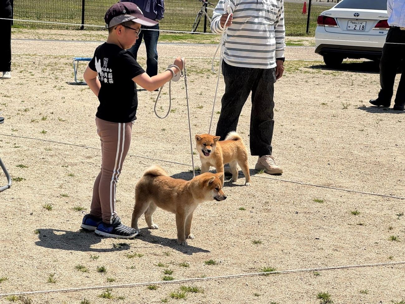 12 (7) | [楽活]rakukatsu - 日々楽シイ生活ヲ