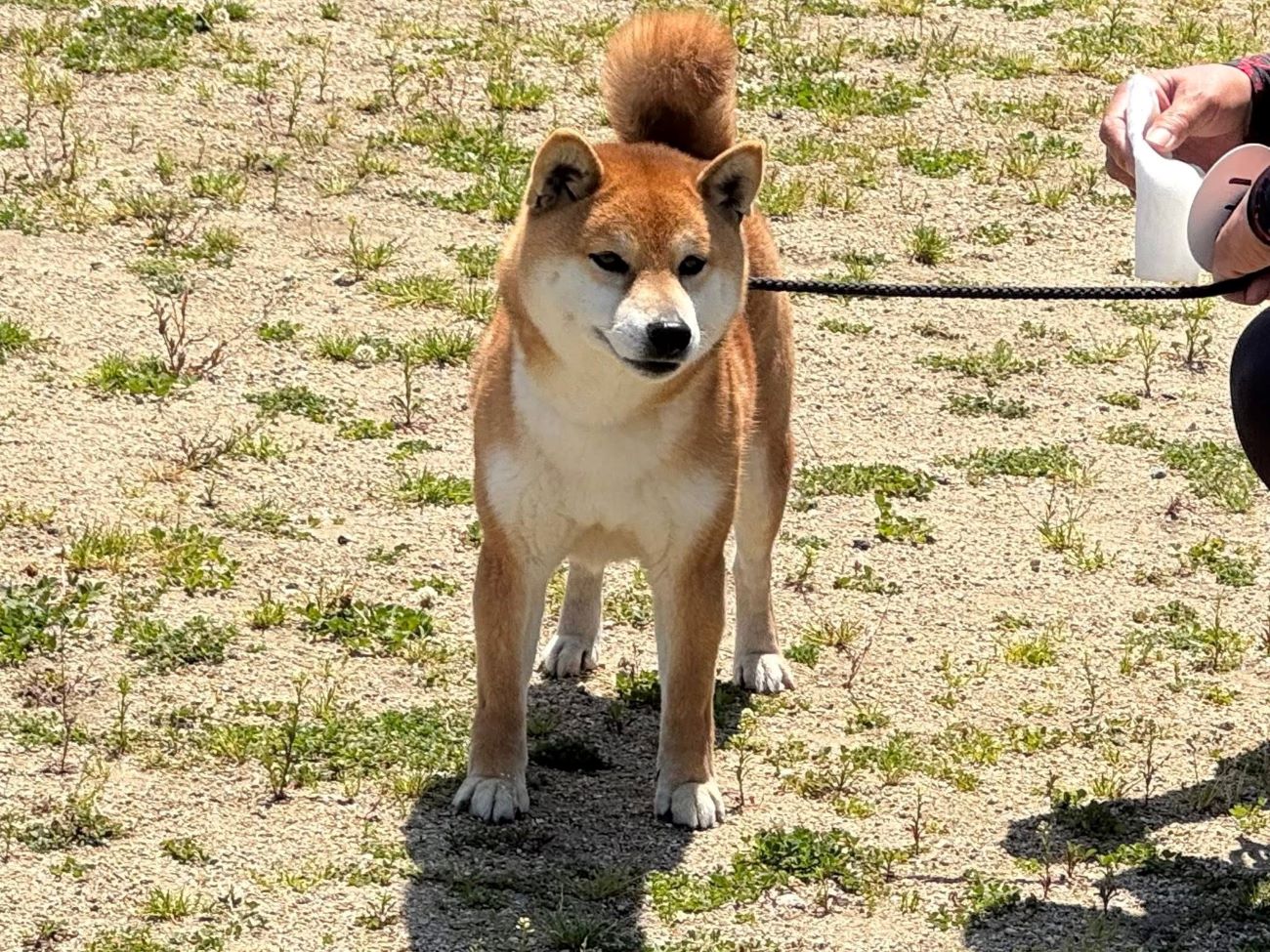 17 (4) | [楽活]rakukatsu - 日々楽シイ生活ヲ