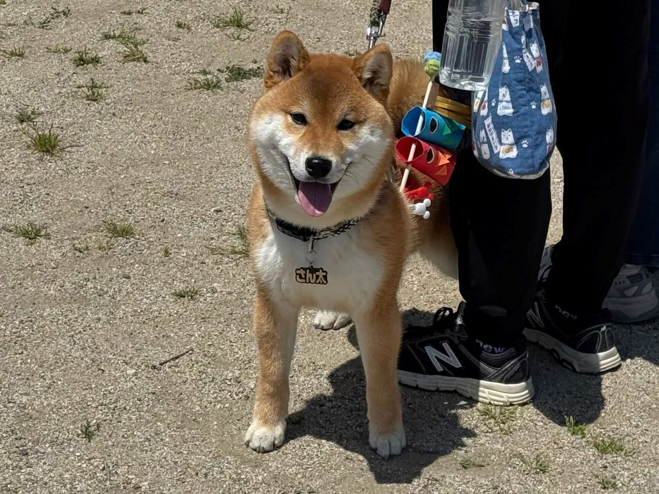 20 (4) | [楽活]rakukatsu - 日々楽シイ生活ヲ