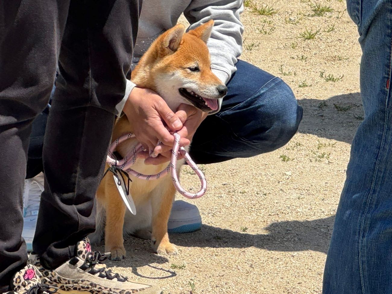 3 (13) | [楽活]rakukatsu - 日々楽シイ生活ヲ