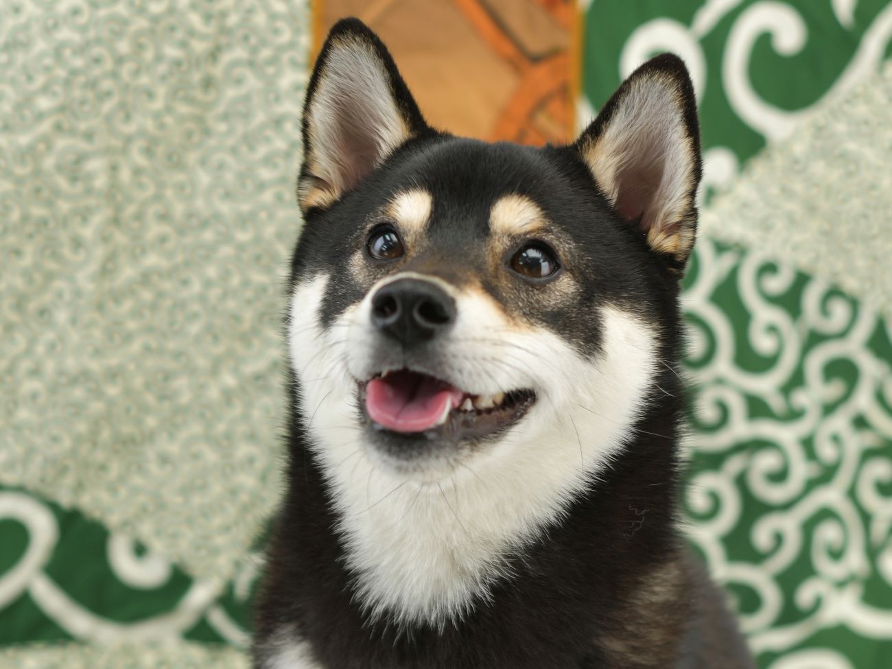 5 (14) | [楽活]rakukatsu - 日々楽シイ生活ヲ