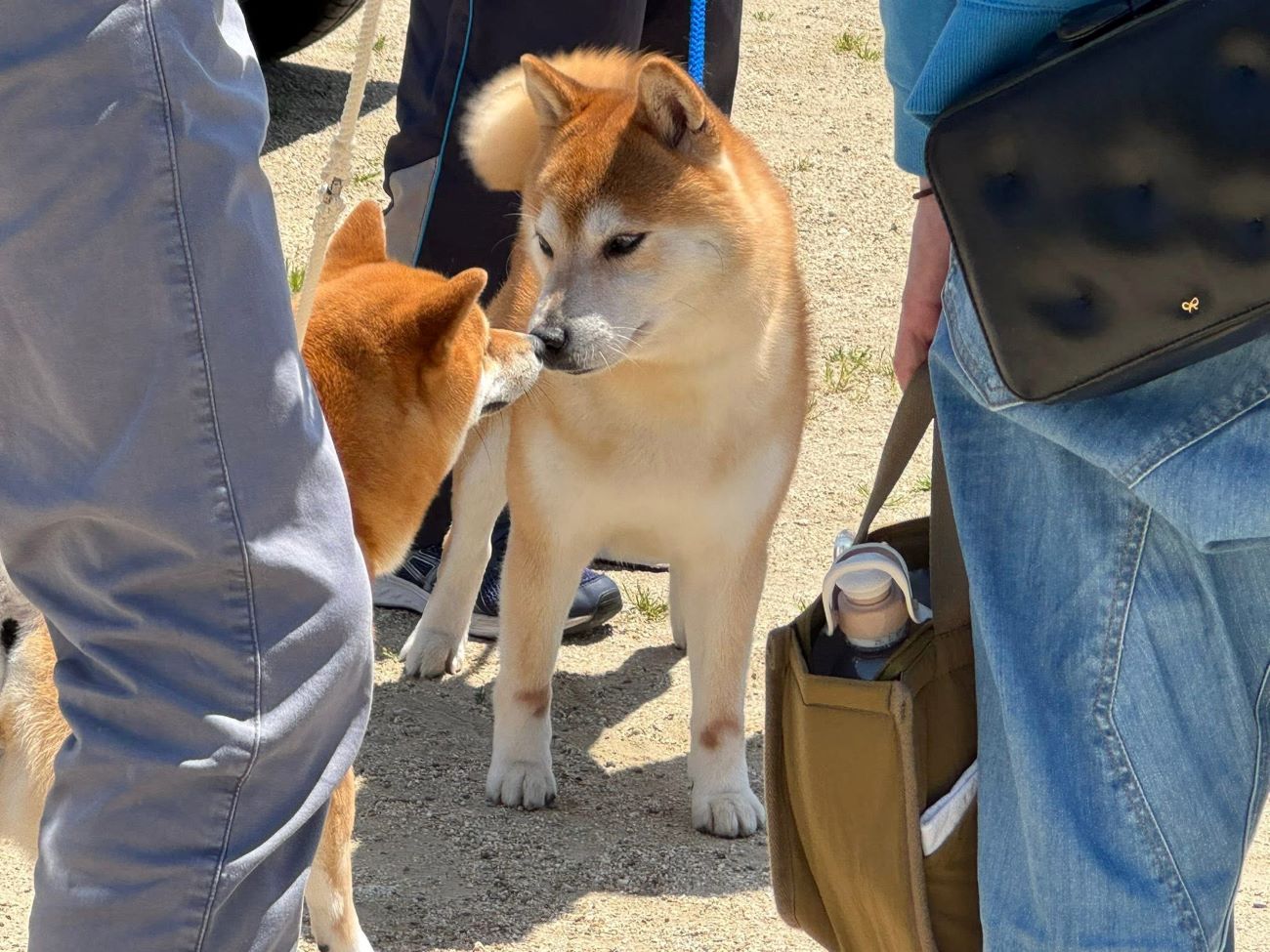 6 (13) | [楽活]rakukatsu - 日々楽シイ生活ヲ