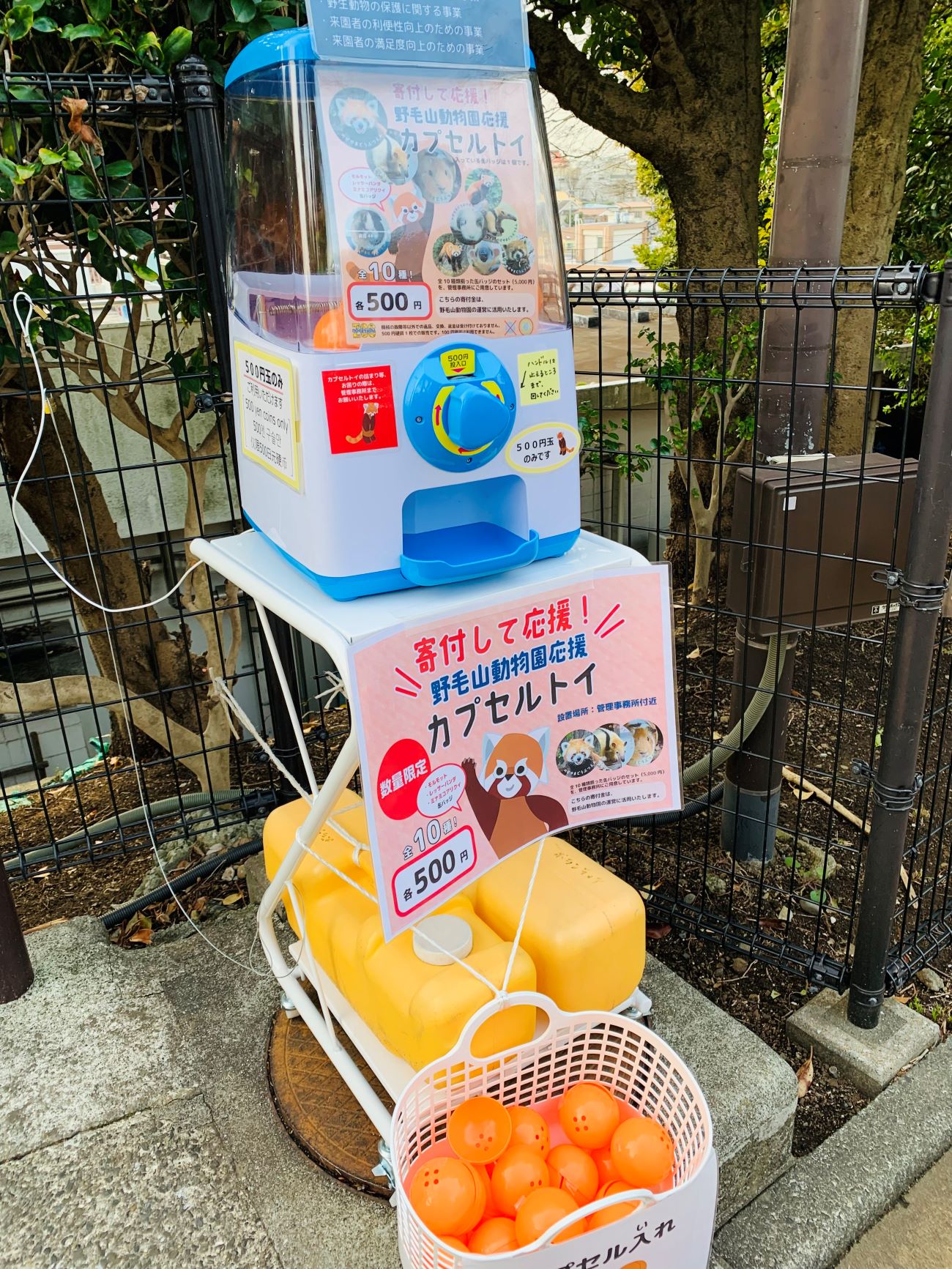 カプセルトイ | [楽活]rakukatsu - 日々楽シイ生活ヲ